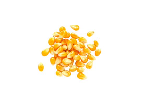 Uitzettechnieken - Uniforme verdeling van natuurlijke vijanden