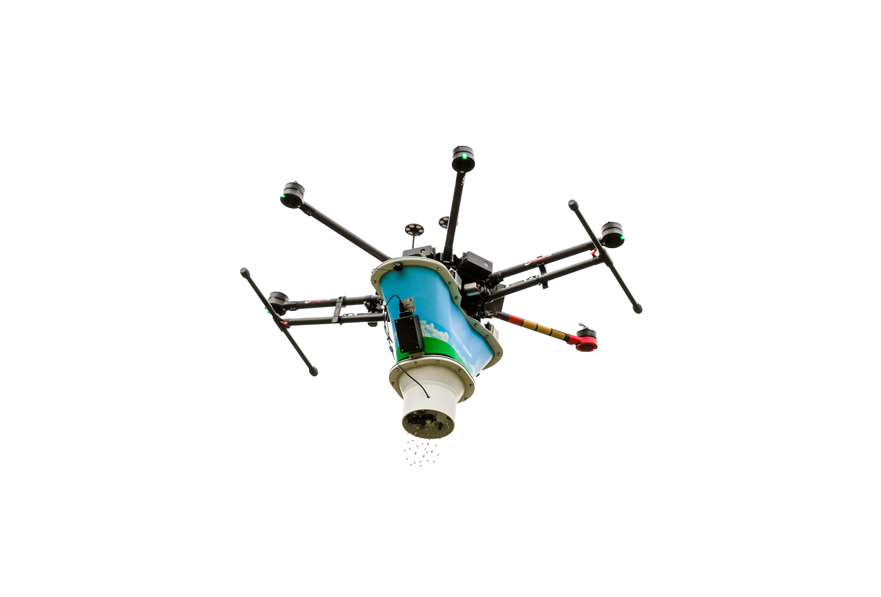 Uitzettechnieken - Uniforme verdeling van natuurlijke vijanden